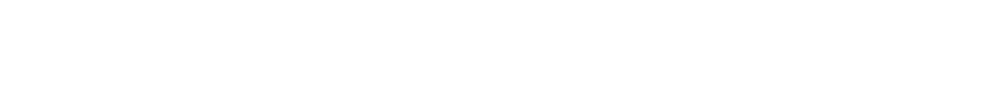 新点电子交易-竞价系统